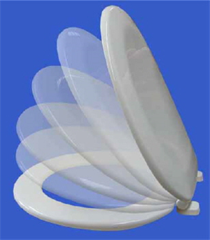 TOILET SEAT APOLLO SOFT CLOSE WHITE HARON INTERNATIONAL – Warringah Timbers